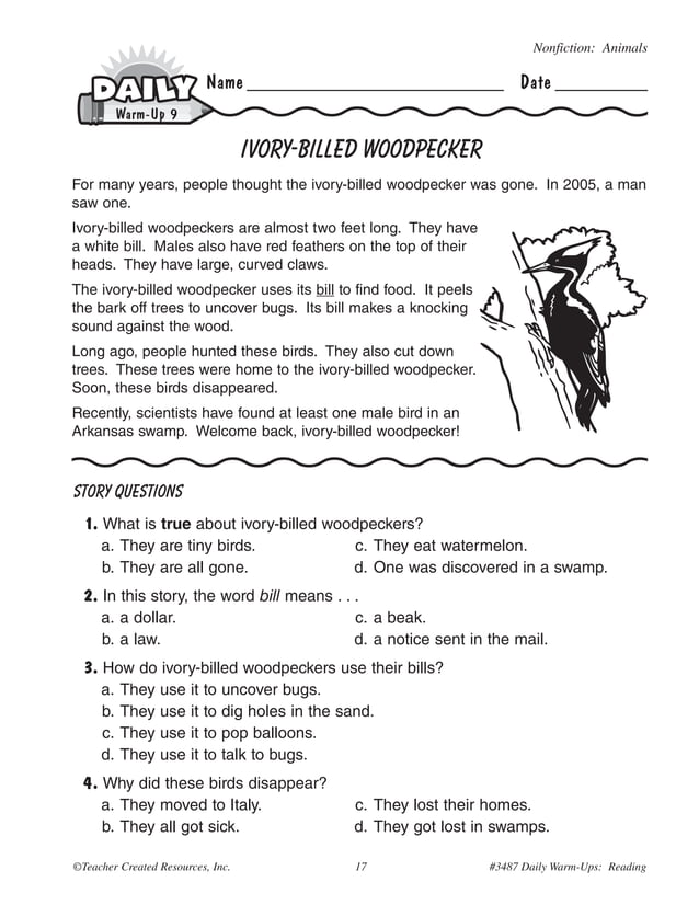 Daily Warm-ups Reading Grade 1 | PDF | Geography | Science