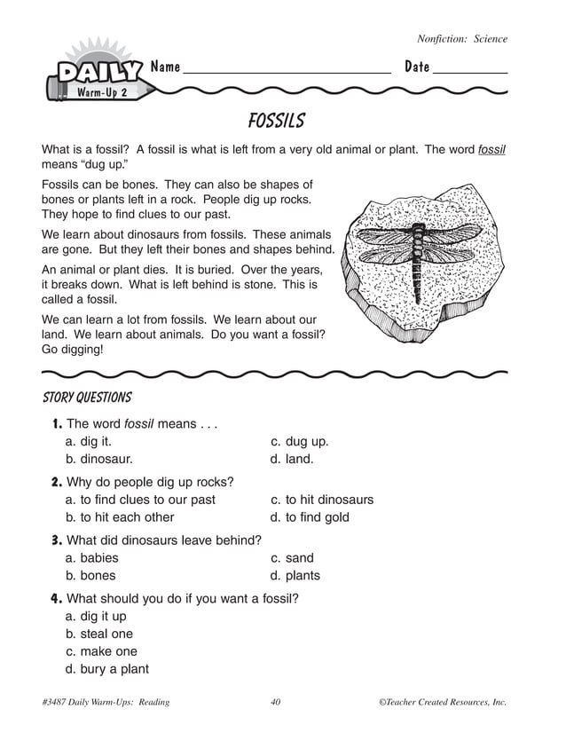 Daily Warm-ups Reading Grade 1 | PDF | Geography | Science