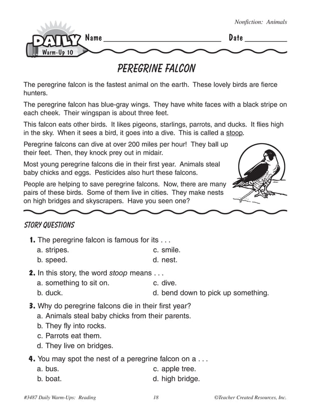 Daily Warm-ups Reading Grade 1