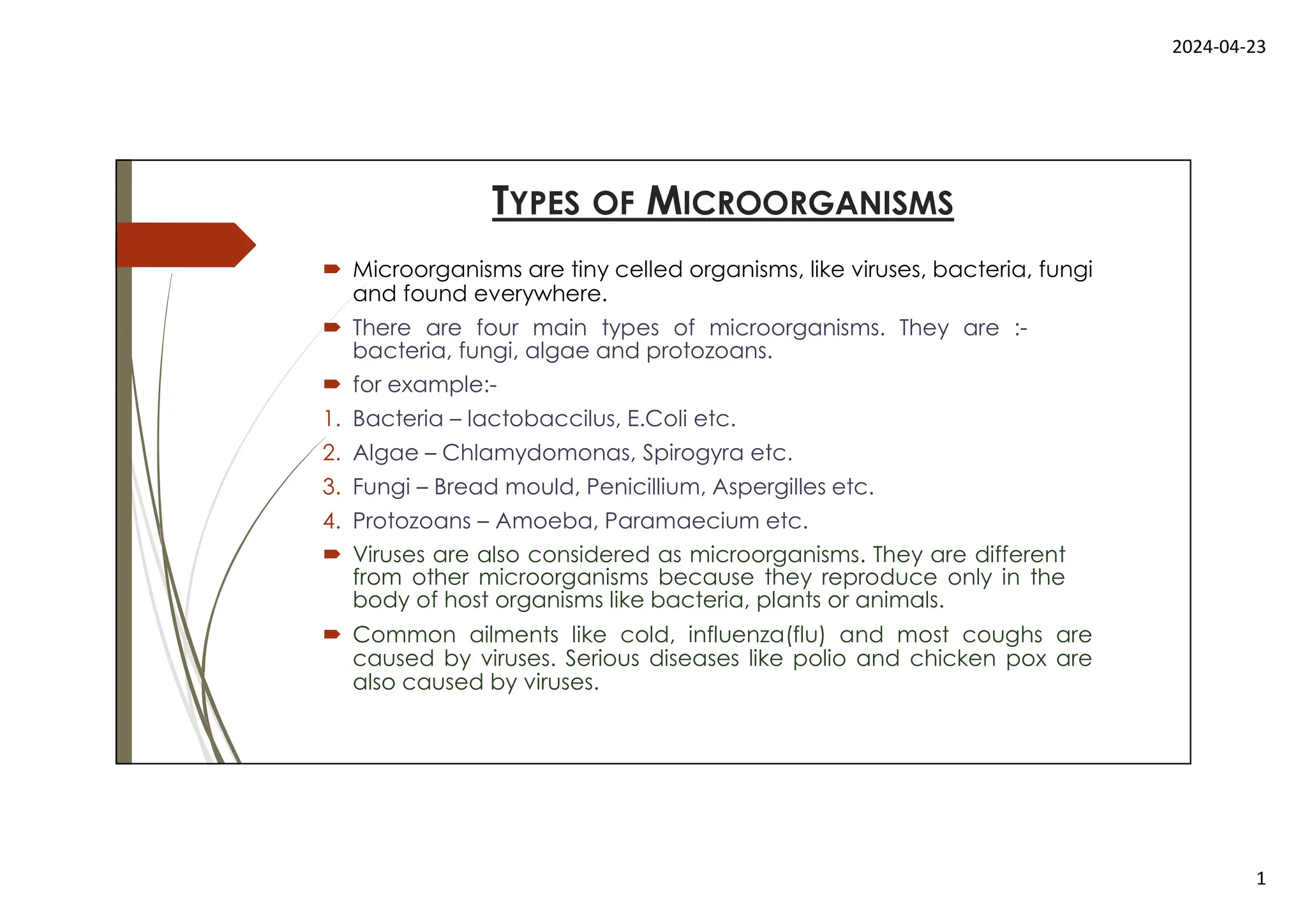 The various types of micro-organisms in the world | PDF