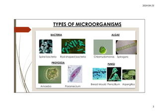 The various types of micro-organisms in the world | PDF
