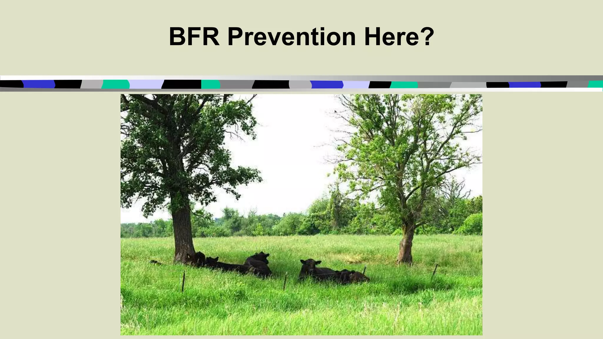 Foot Rot and Digital Dermatitis | PPTX