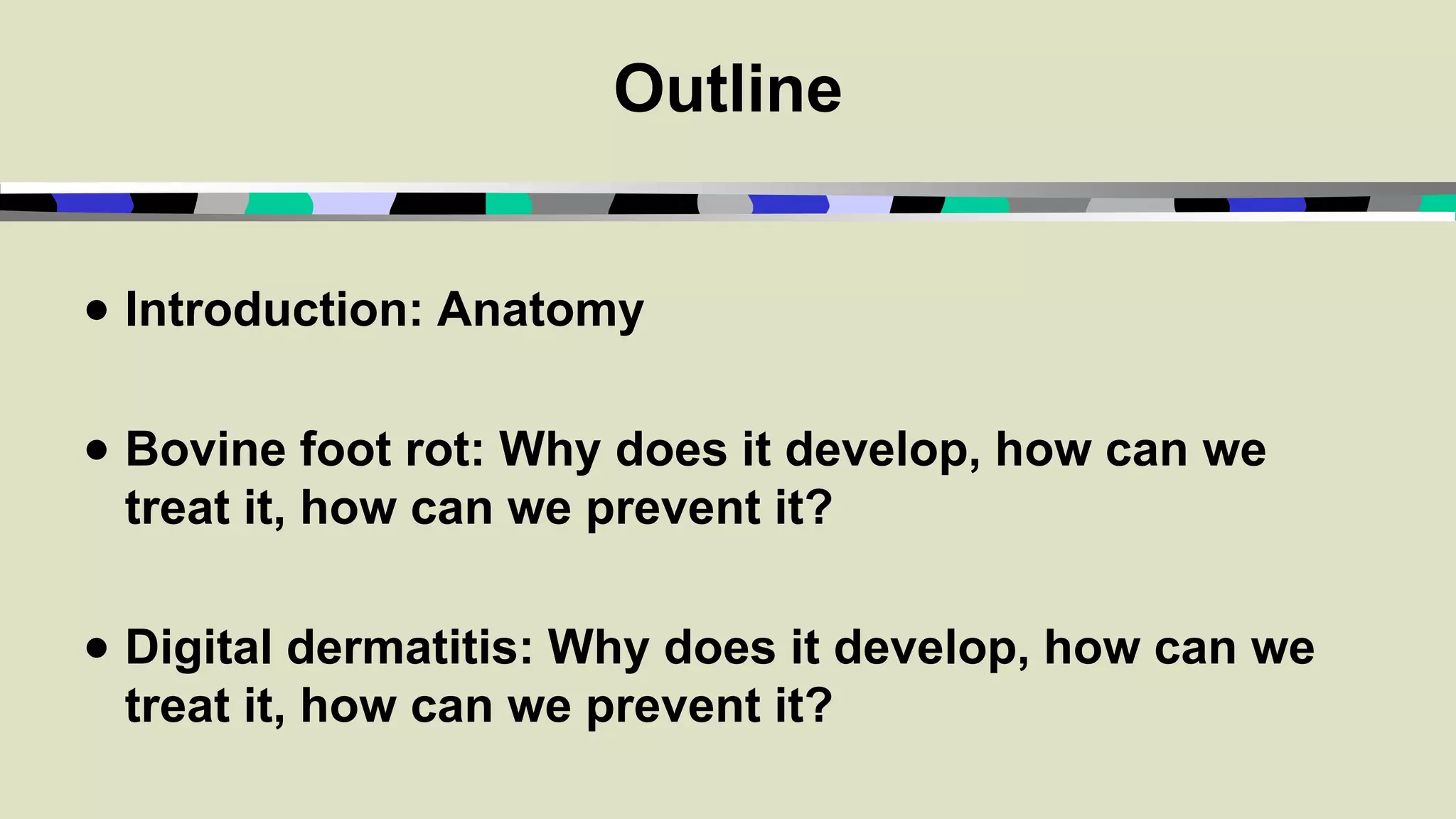 Foot Rot and Digital Dermatitis | PPTX