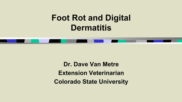 Foot Rot and Digital Dermatitis | PPTX