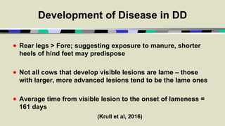 Foot Rot and Digital Dermatitis | PPTX
