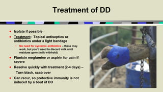 Foot Rot and Digital Dermatitis | PPTX