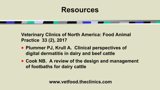 Foot Rot and Digital Dermatitis | PPTX