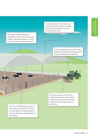 Dairy cow-housing-guide | PDF