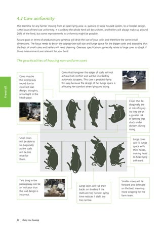 Dairy cow-housing-guide | PDF