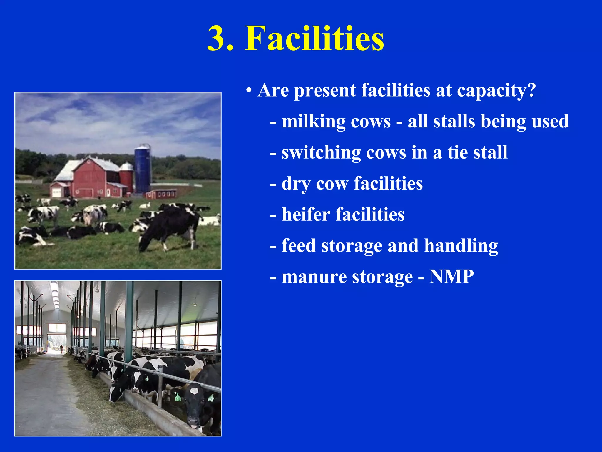 Dairy Farm Business Planning | PPT