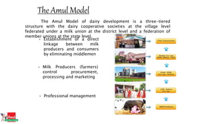 Dairy Industry | PPTX