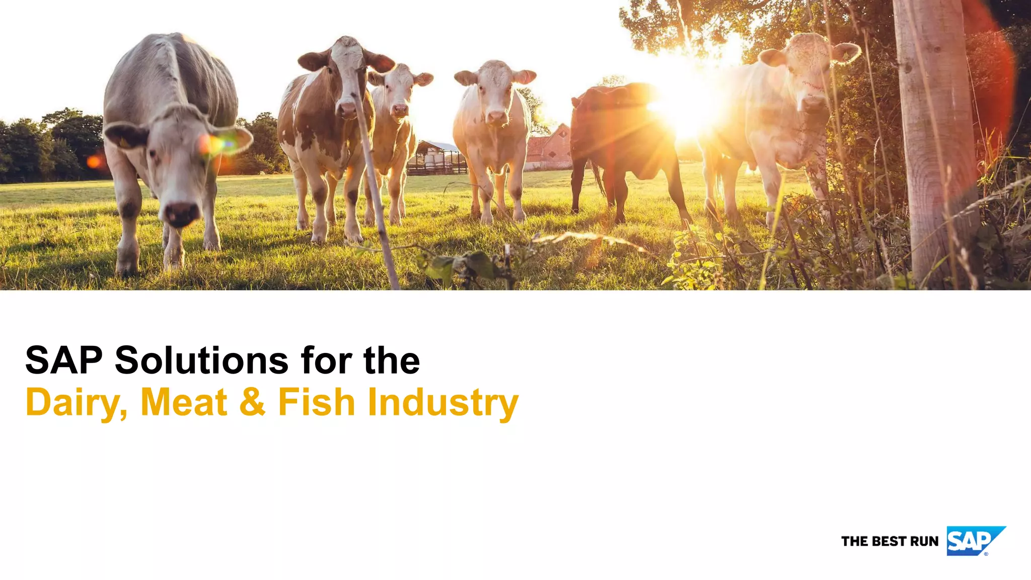 Dairy,-Meat,-Fish-Management.pdf