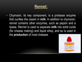 Applications of Biotechnology in Dairy Industry | PPTX