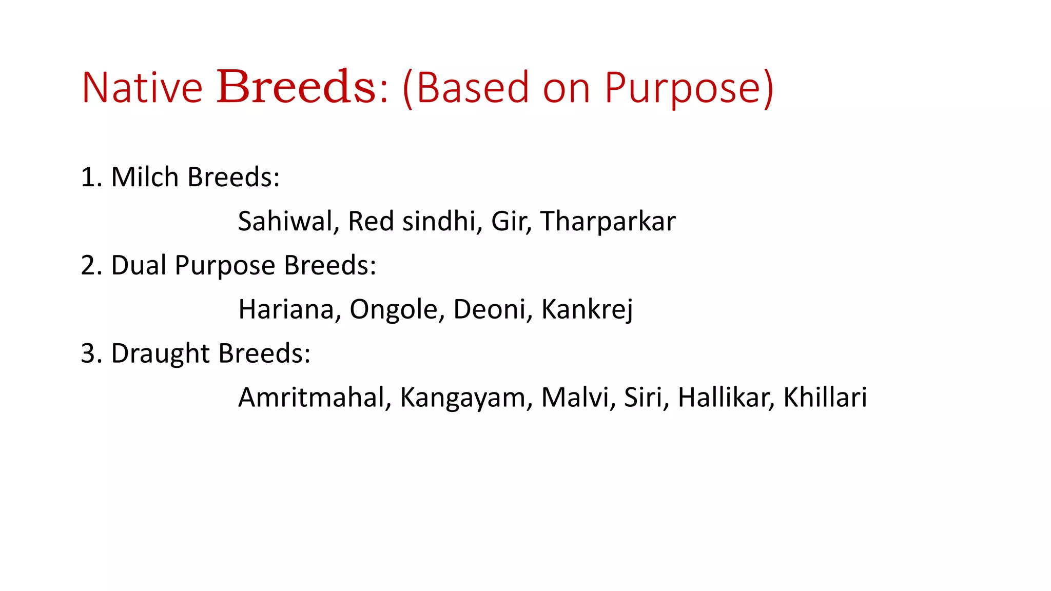 Dairy breeds | PPT