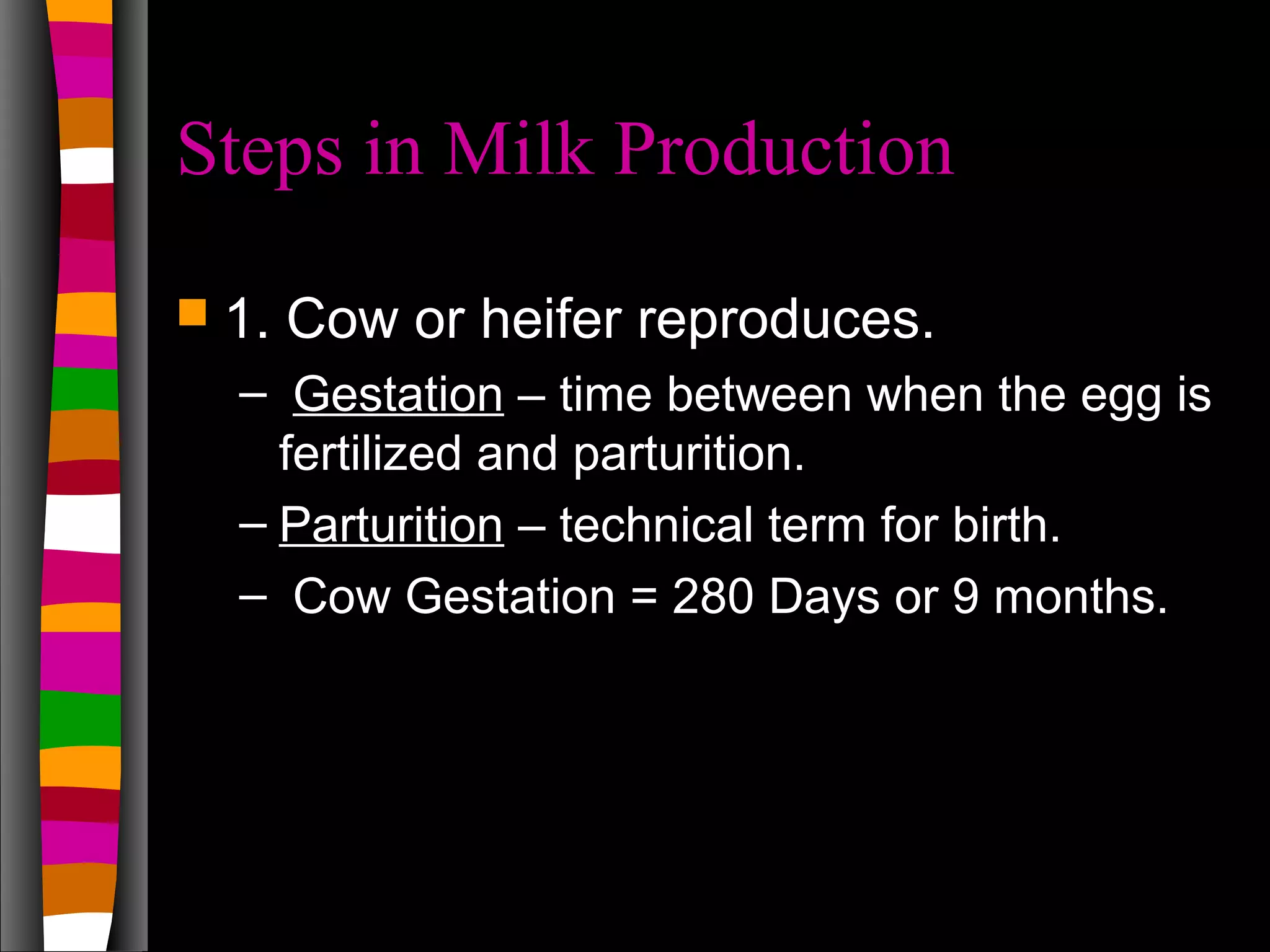 Dairy Cattle Introduction | PPT