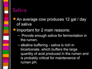 Dairy Cattle Introduction | PPT