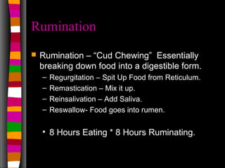 Dairy Cattle Introduction | PPT