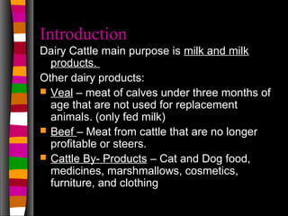 Dairy Cattle Introduction | PPT