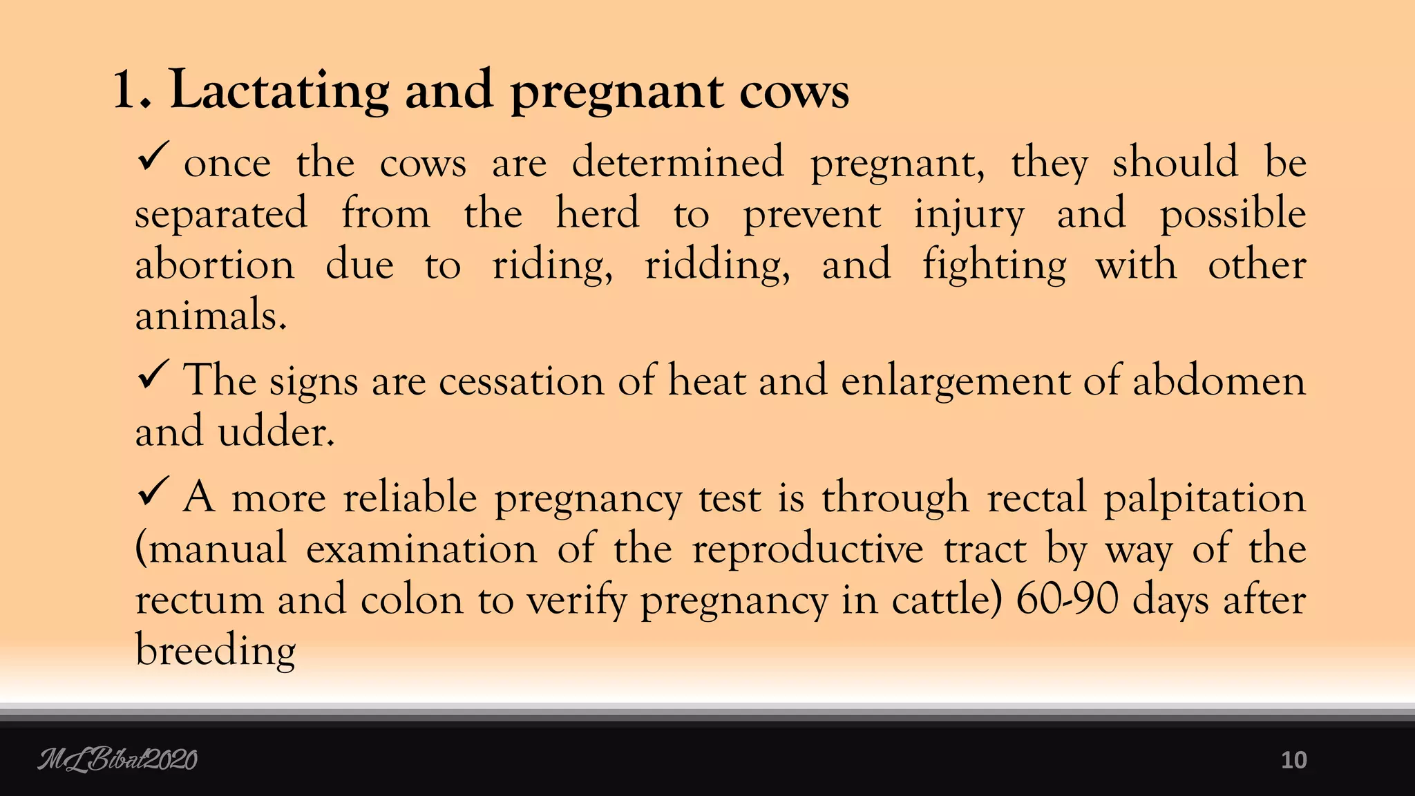 Dairy cattle management as2 | PDF