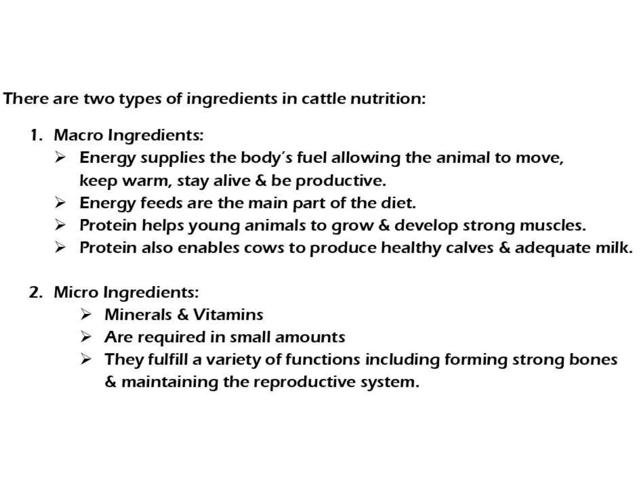 Dairy cattle nutrition | PDF