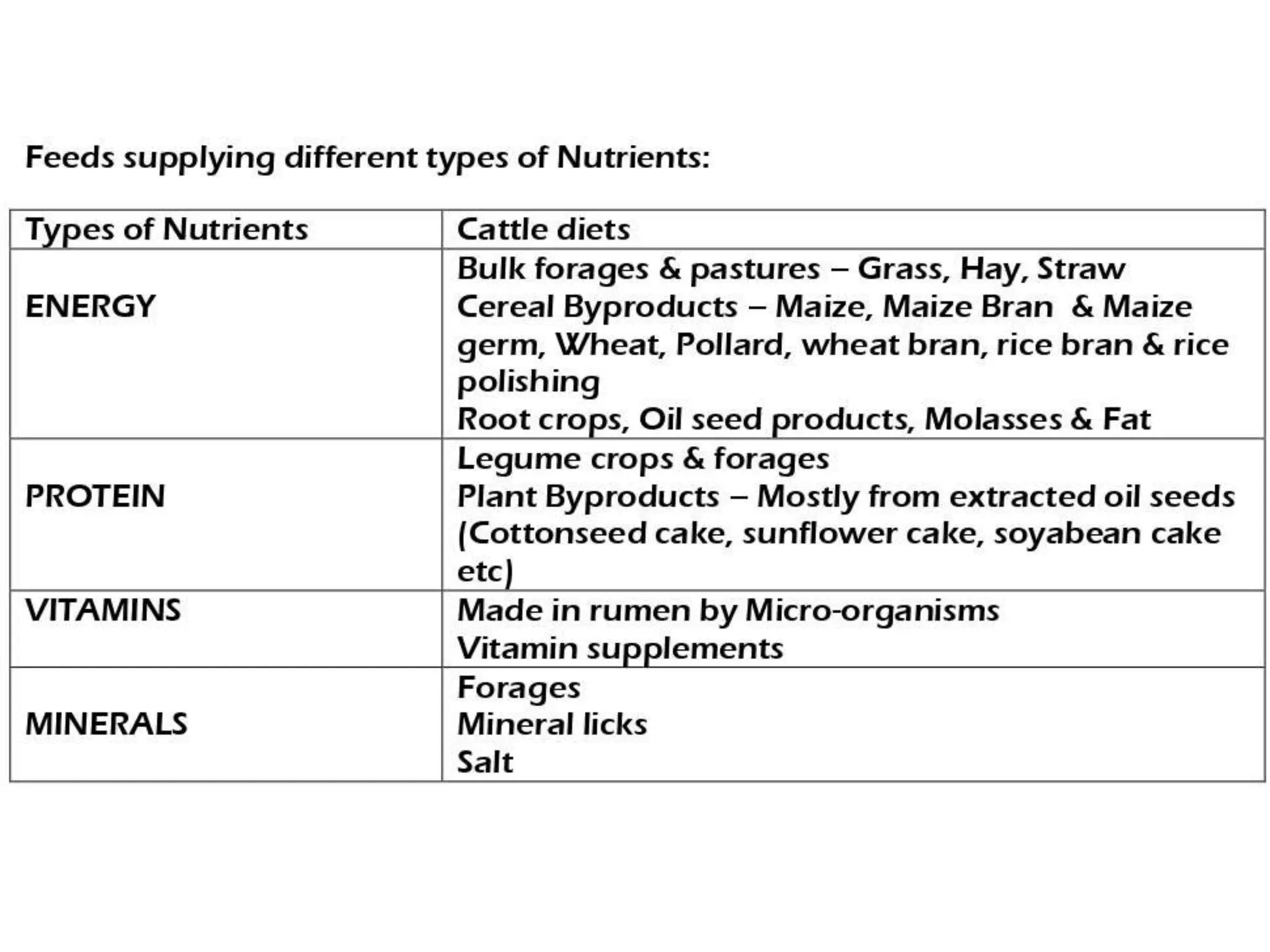 Dairy cattle nutrition | PDF