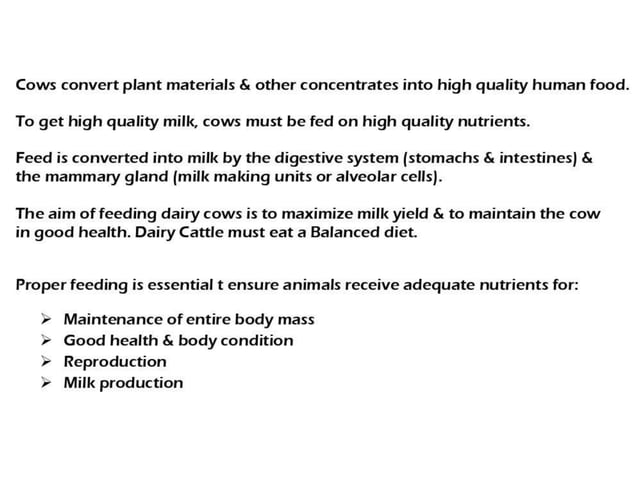 Dairy cattle nutrition | PDF | Food & Drink
