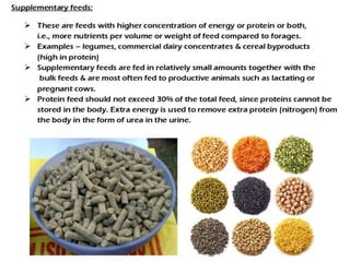 Dairy cattle nutrition | PDF
