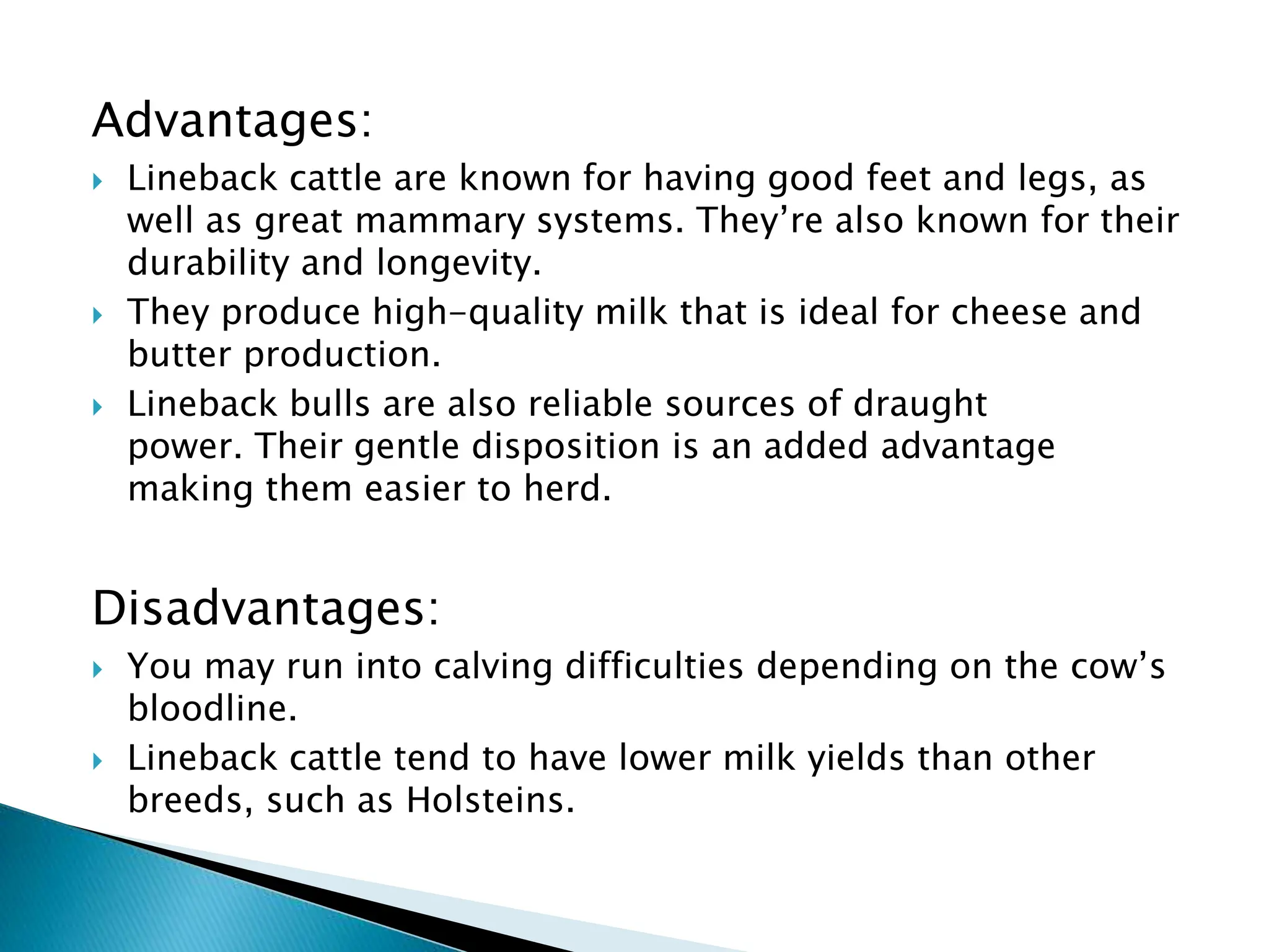 DAIRY CATTLE PRODUCTION BACHELOR OF SCIENCE IN AGRICULTURE.pptx