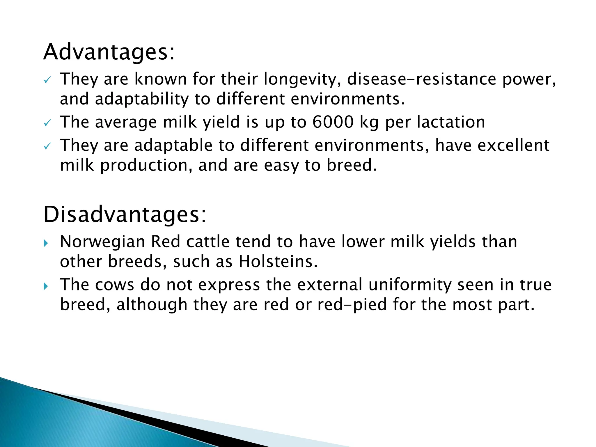 DAIRY CATTLE PRODUCTION BACHELOR OF SCIENCE IN AGRICULTURE.pptx