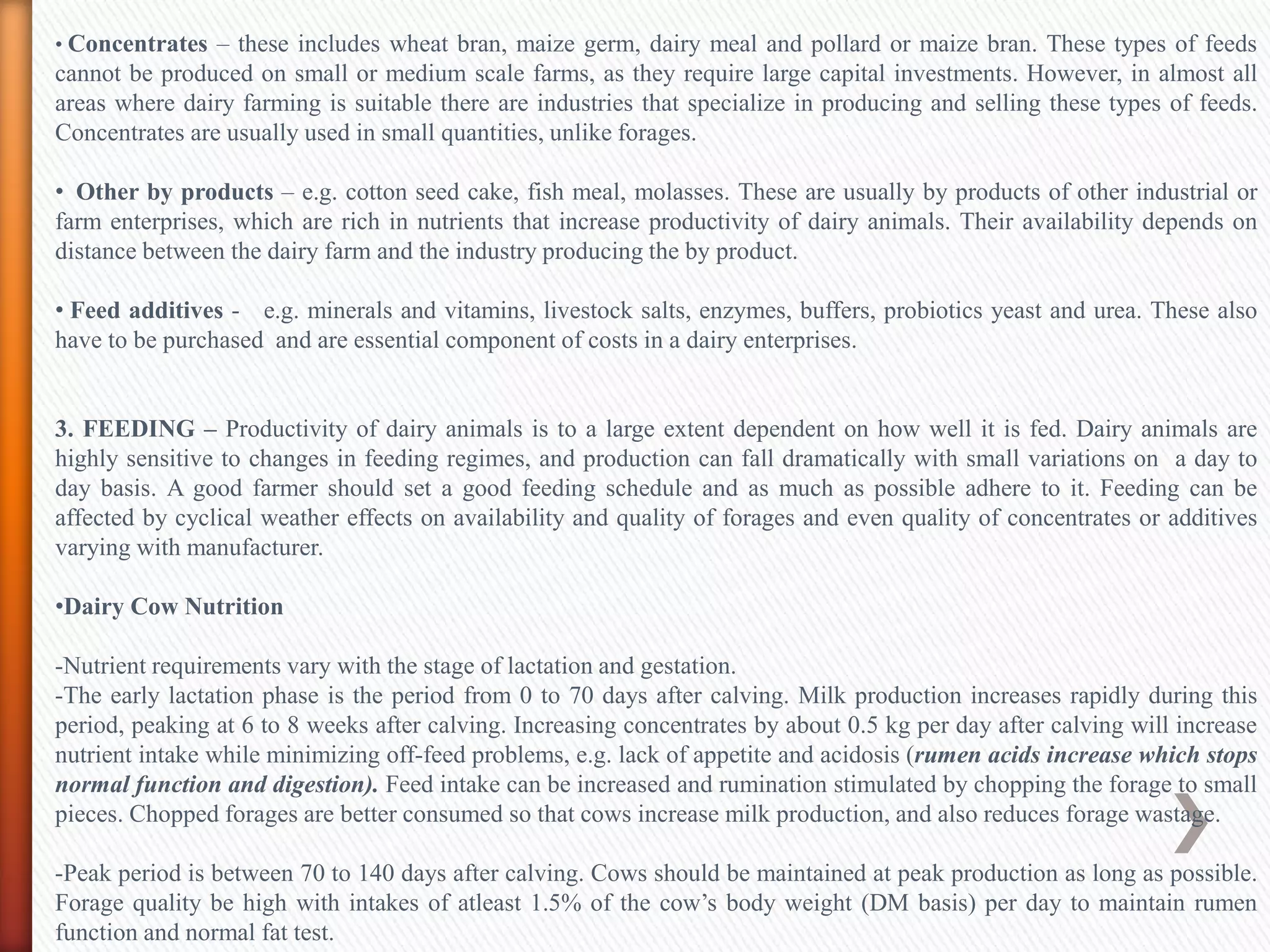 Dairy cow Report | PPTX