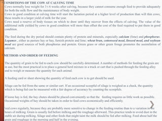 Dairy cow Report | PPTX