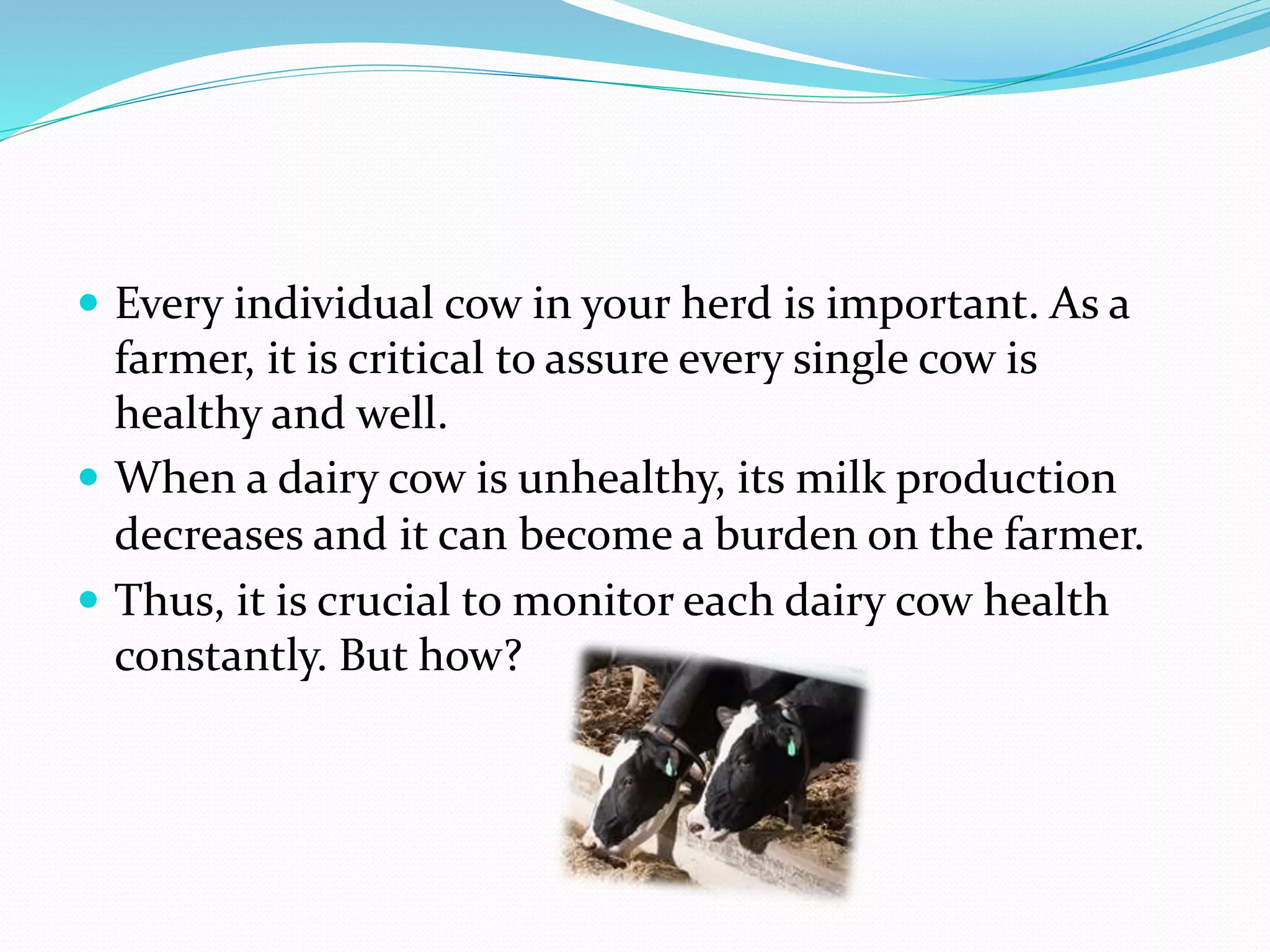Dairy Cow Health | PPTX