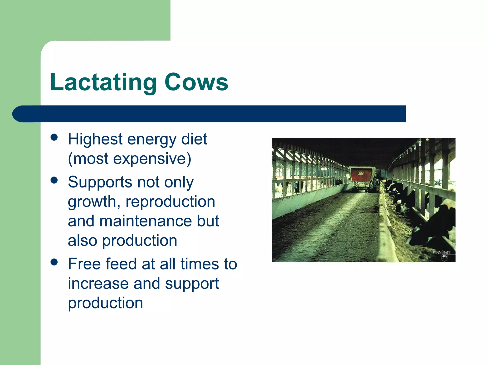 Dairy cow nutrition | PPT