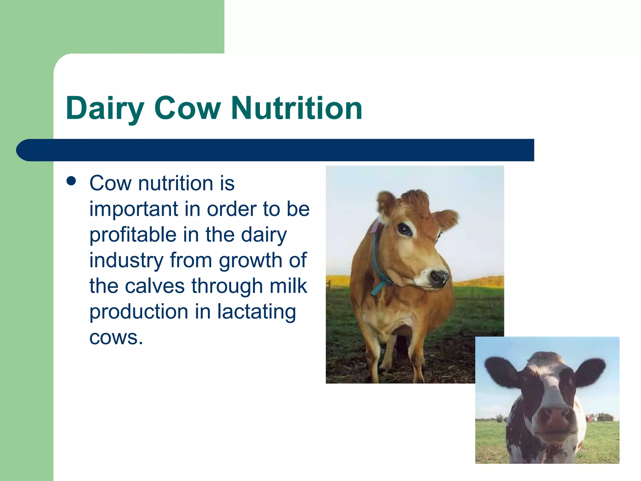 Dairy cow nutrition | PPT