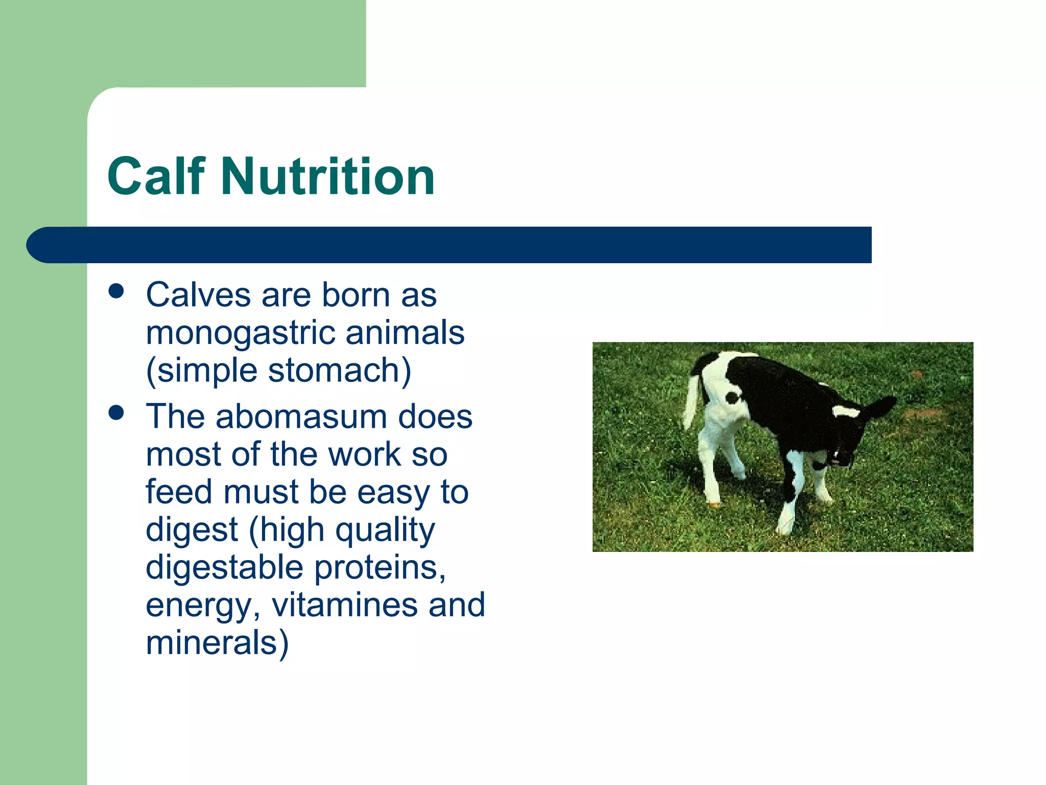 Dairy cow nutrition | PPT