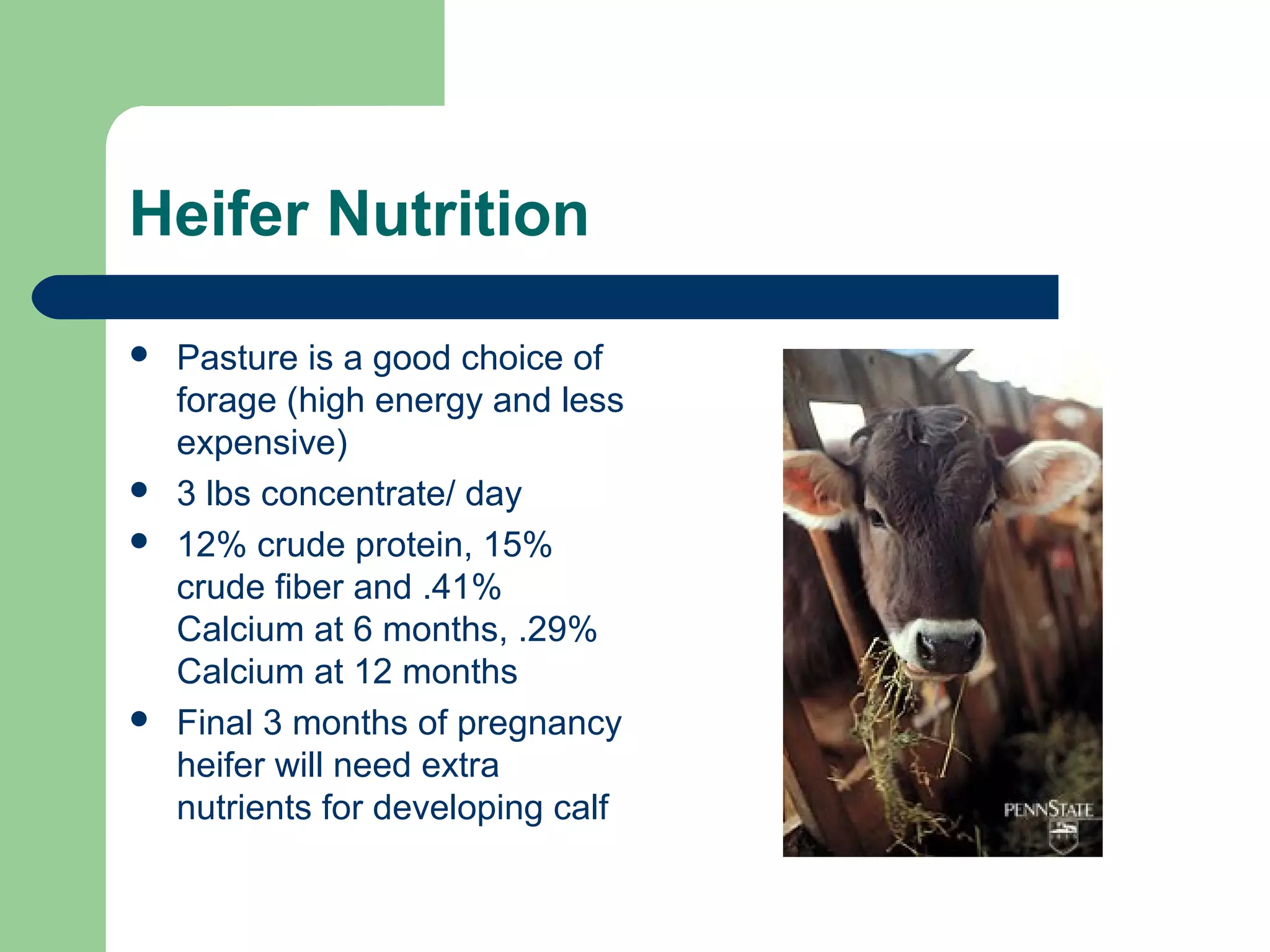 Dairy cow nutrition | PPT