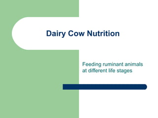 Dairy cow nutrition | PPT