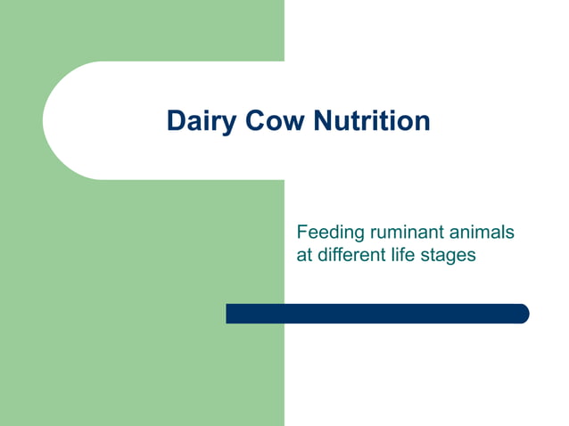 Dairy cow nutrition | PPT
