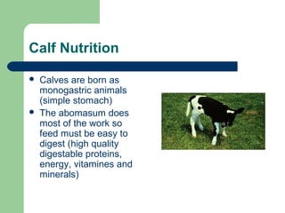 Dairy cow nutrition | PPT