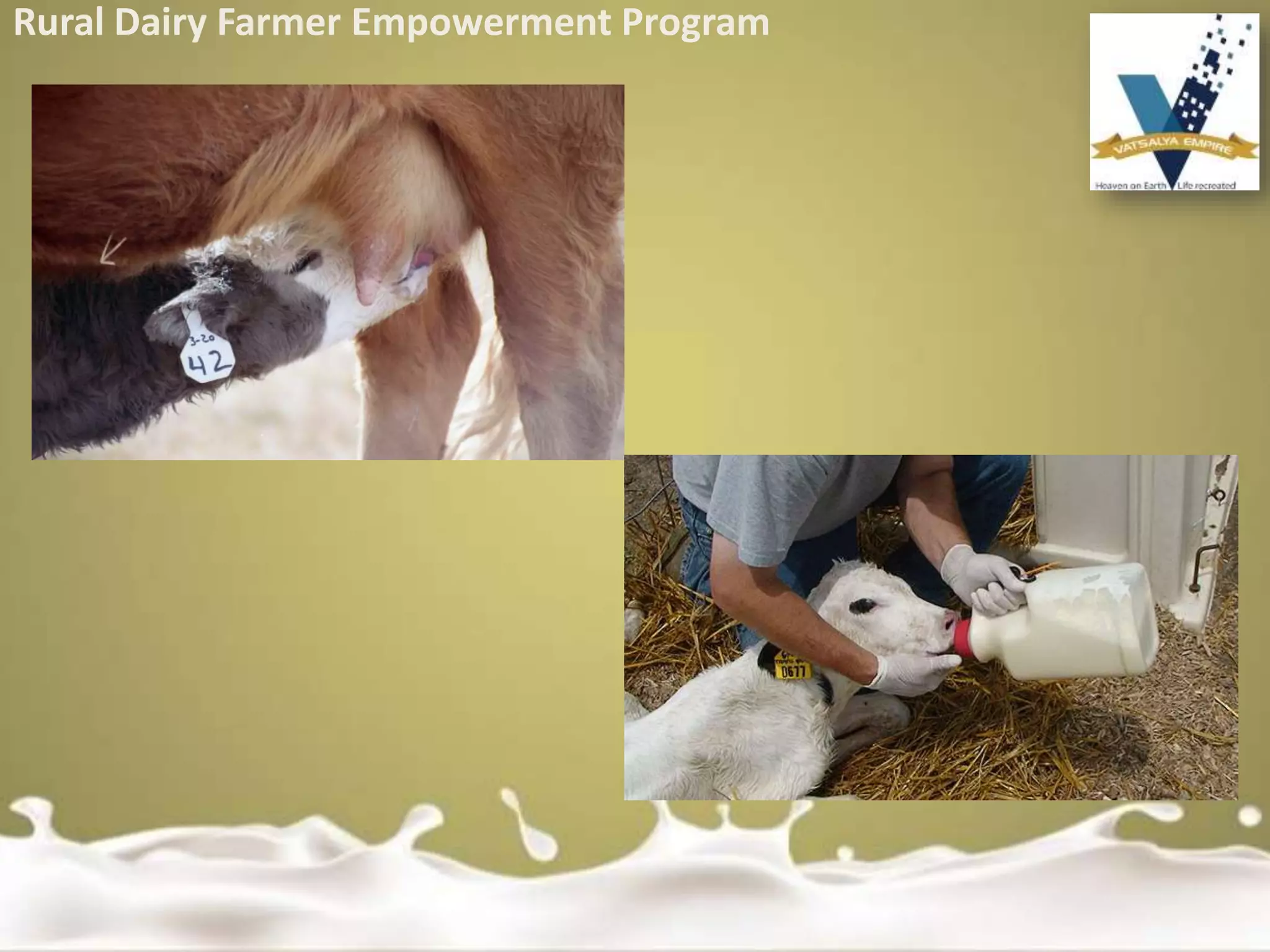 Dairy farm cattle management | PDF