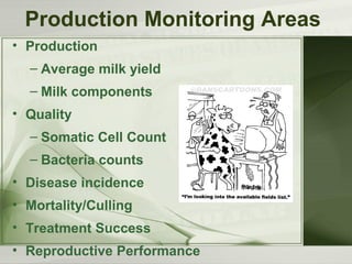 Dairy Farm Economics 101: 12 Ideas for Improved Dairy Management | PPT