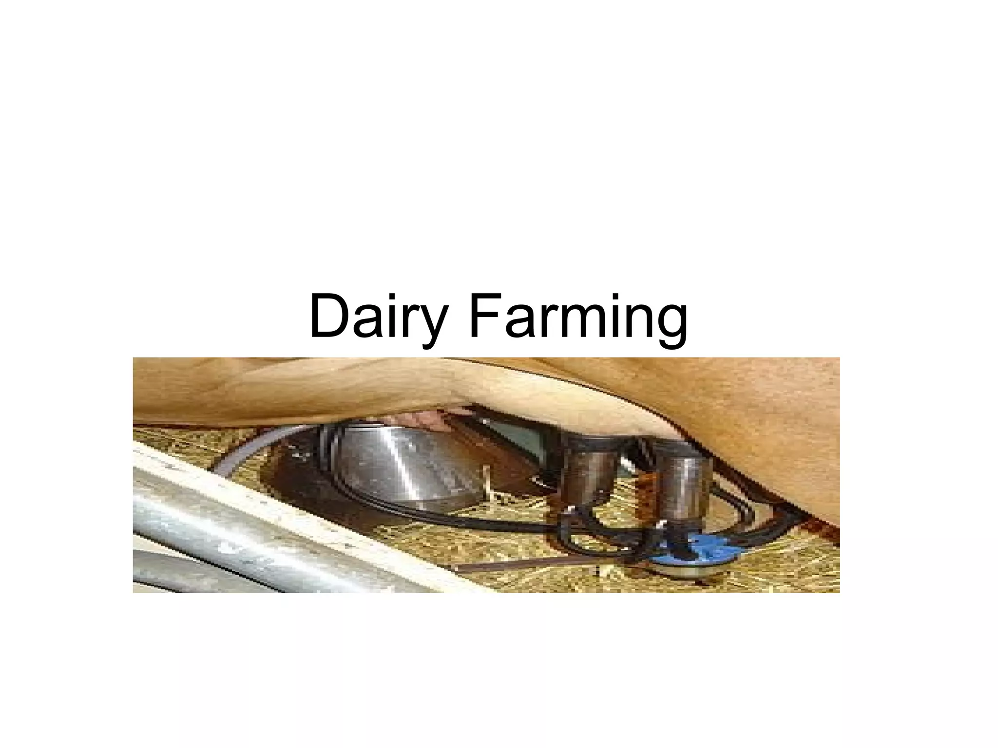 Dairy farming | PPT | Agriculture | Industries