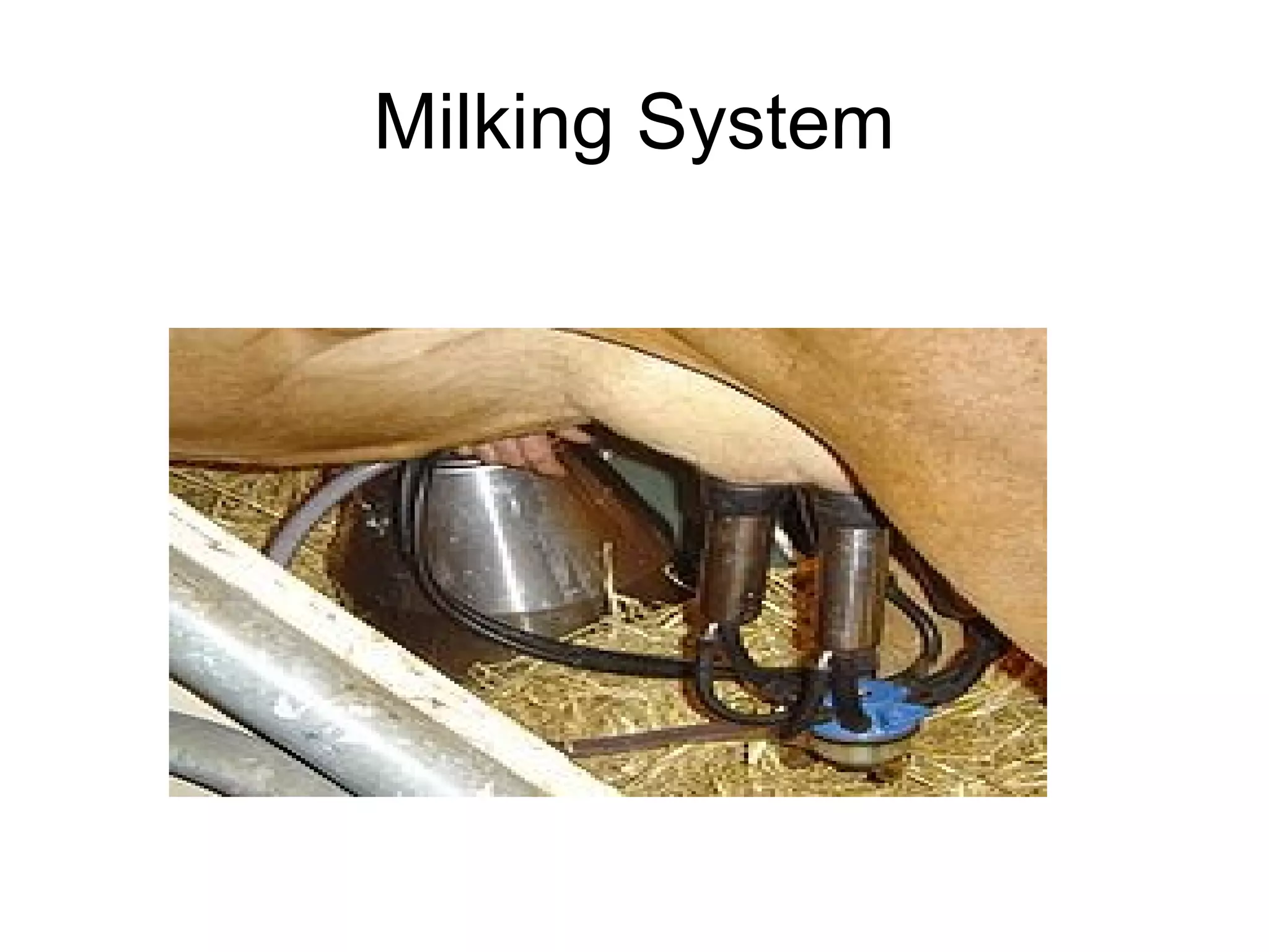 Dairy farming | PPT | Agriculture | Industries