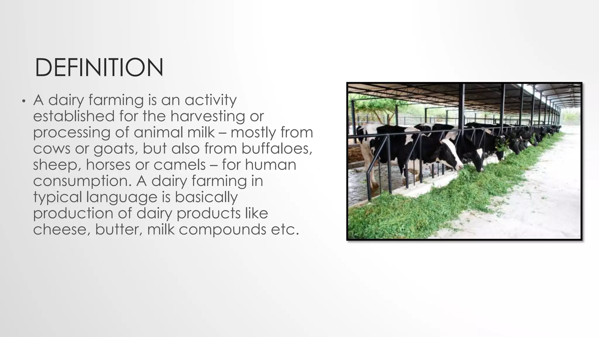 Dairy farming | PPTX