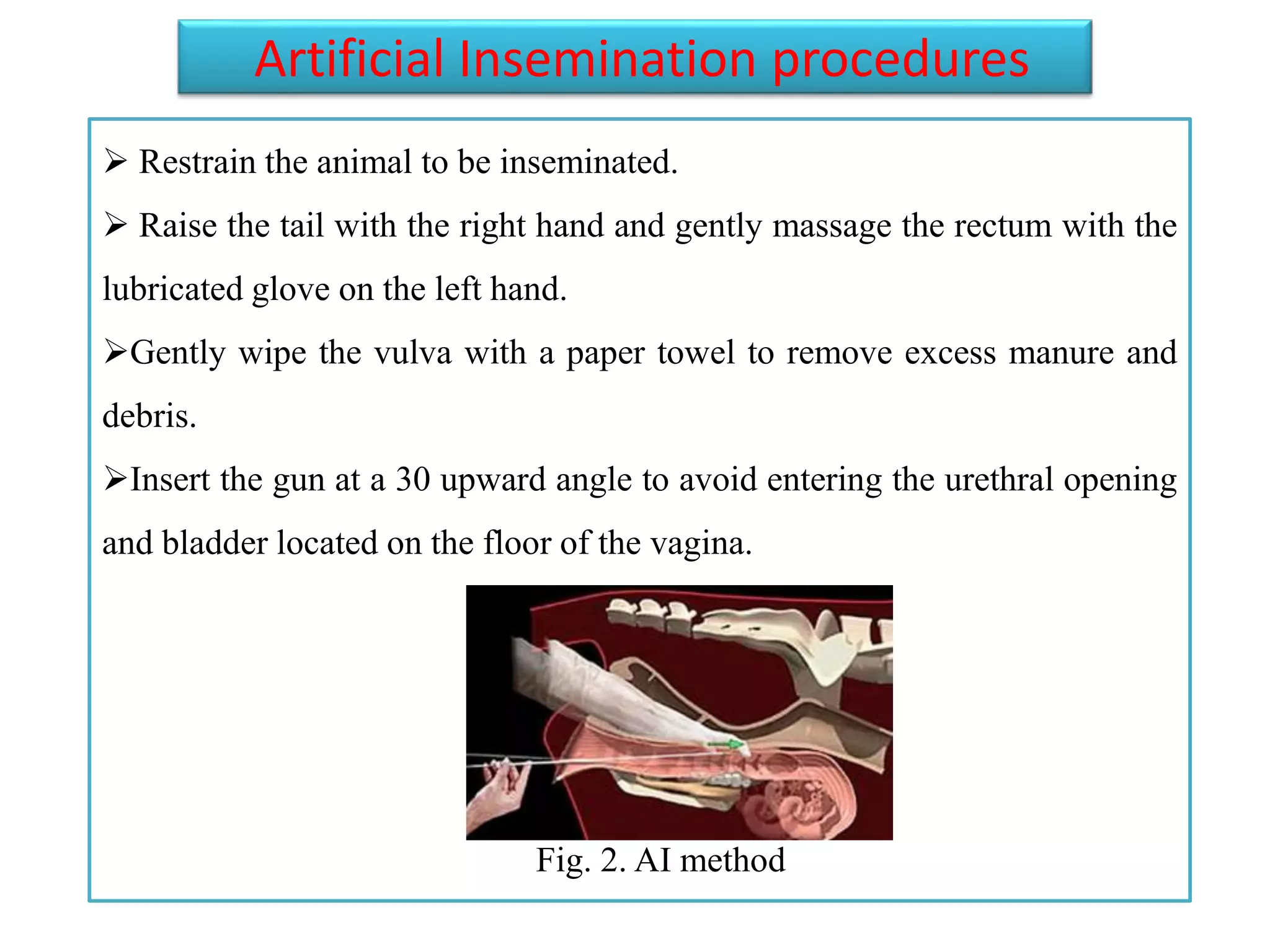 Dairy farming | PPTX