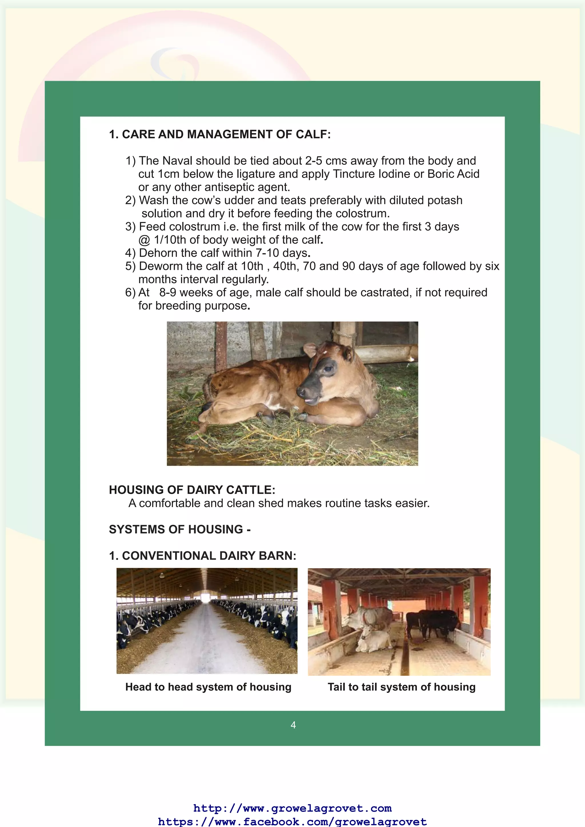 Dairy Farming Guide | PDF