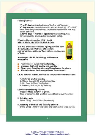 Dairy Farming Guide | PDF