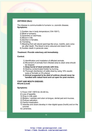 Dairy Farming Guide | PDF