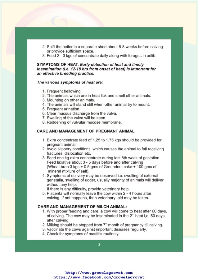 Dairy Farming Guide | PDF
