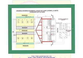 Dairy Farming Guide | PDF